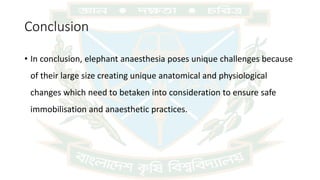 Elephant anesthesia | PPTX