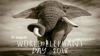 Indian Elephant (Elephas maximus) | PPT