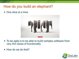 Elephant Carpaccio | PDF
