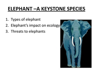 Elephant a keystone species alex | PPTX
