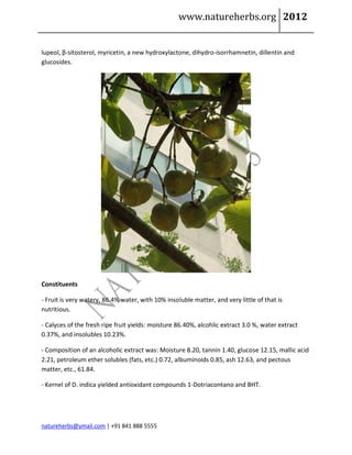 Elephant apple | PDF