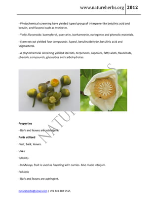 Elephant apple | PDF
