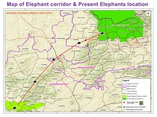 Elephant Corridor in Tirupati Division.pptx