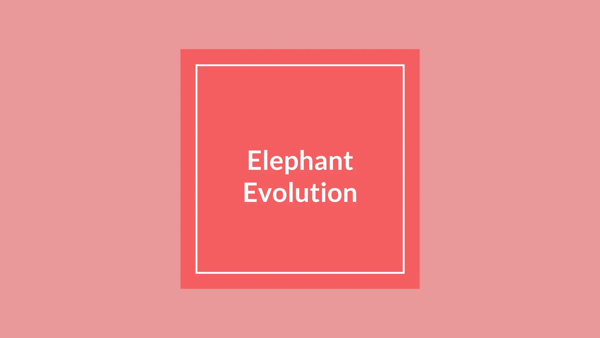 Elephant evulution.pptx..all about the elephant evolution | PPTX