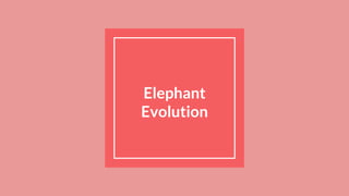 Elephant evulution.pptx..all about the elephant evolution | PPTX