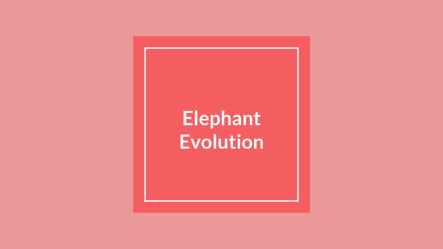 Elephant evulution.pptx..all about the elephant evolution | PPT
