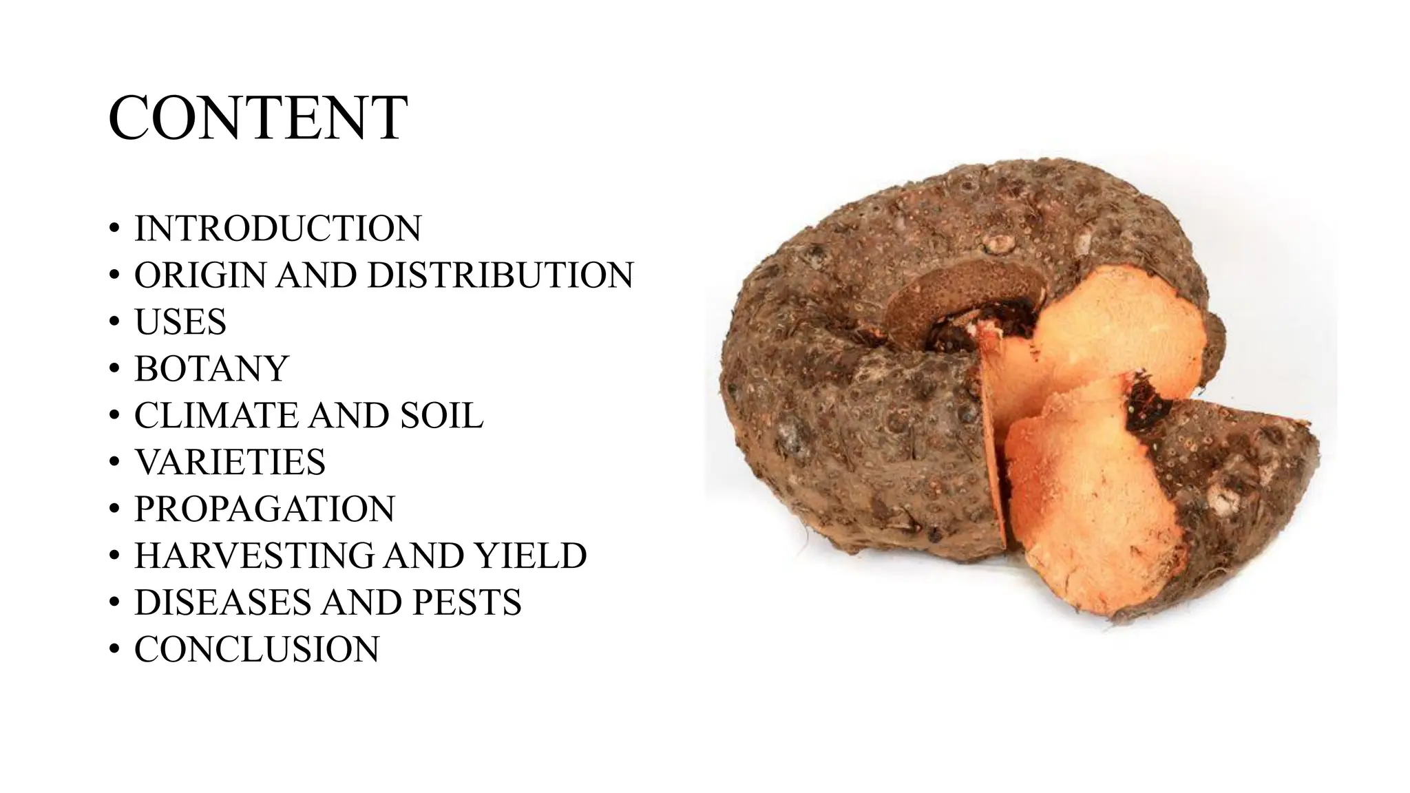 ELEPHANT FOOT YAM Sumit Acharya(original) Underexploited Tuber crop.pdf