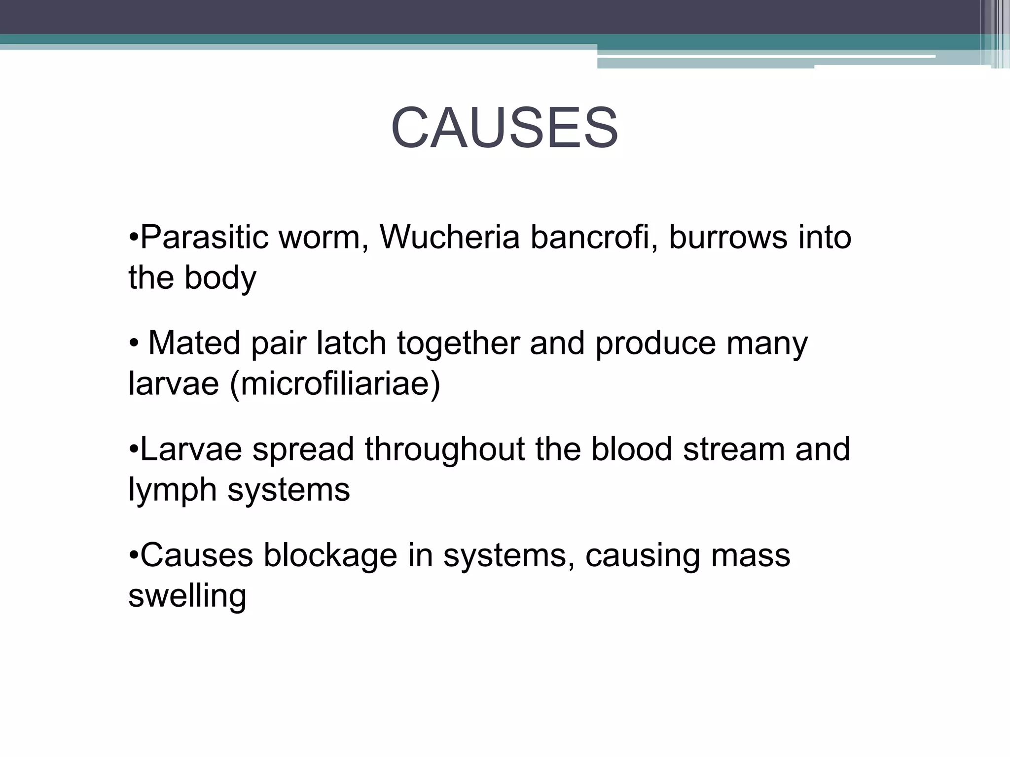 Elephantiasis | PPTX