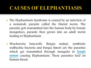 Elephantiasis : causes, symptoms, diagnosis and treatment | PPTX