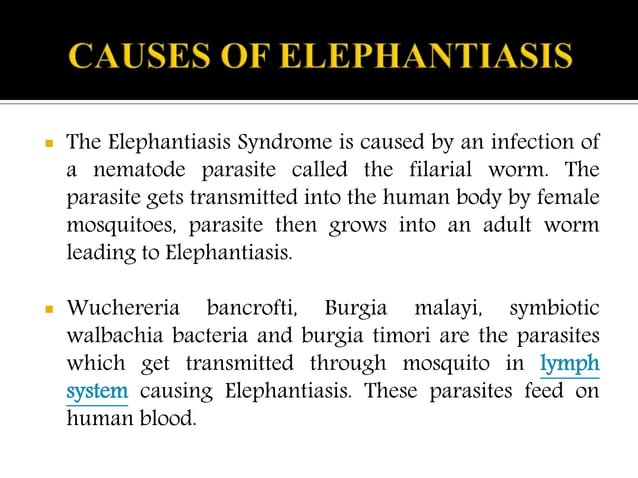 Elephantiasis : causes, symptoms, diagnosis and treatment | PPTX | Infectious Diseases ...