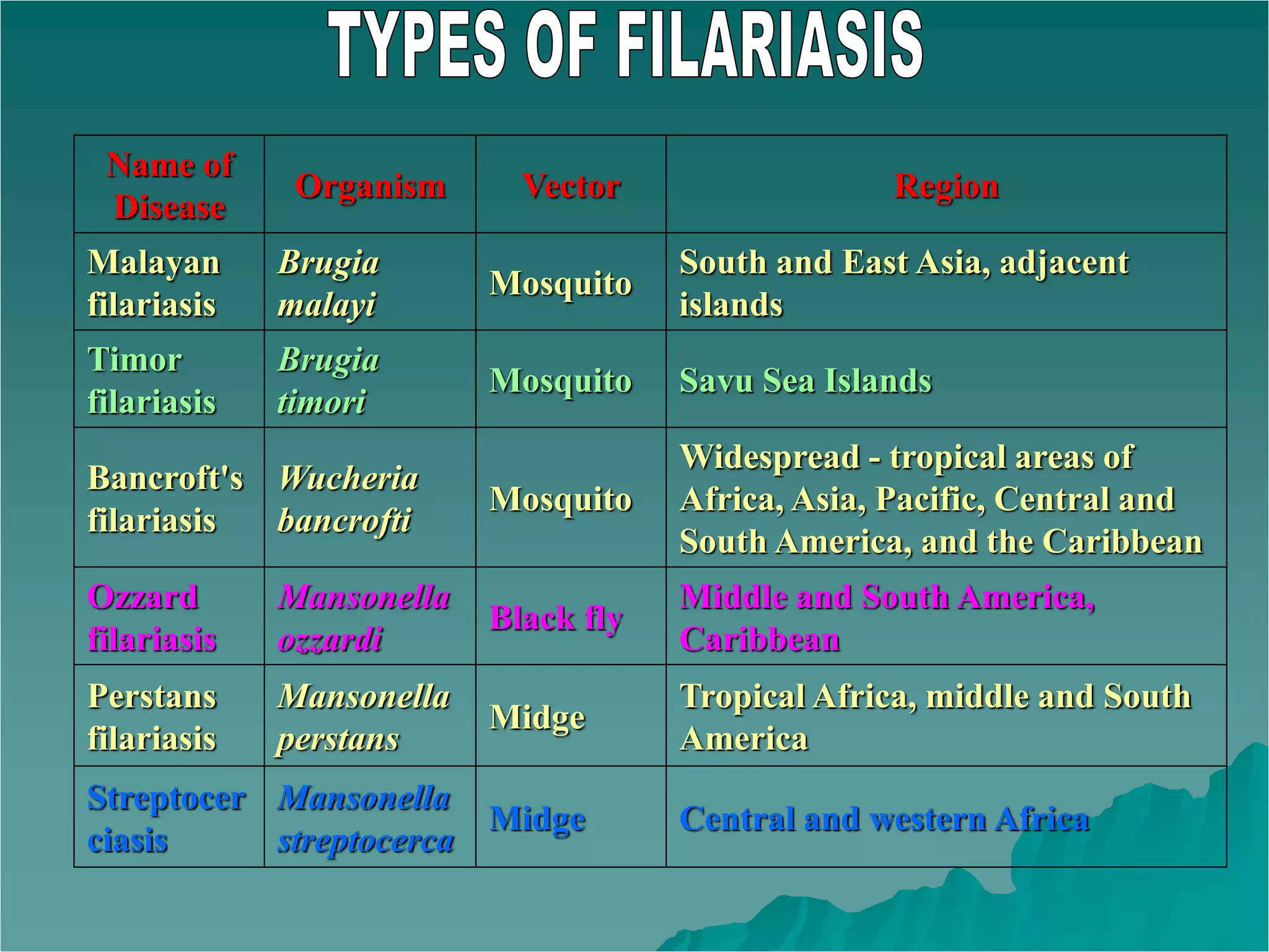 Elephantiasis presentation1 | PPSX