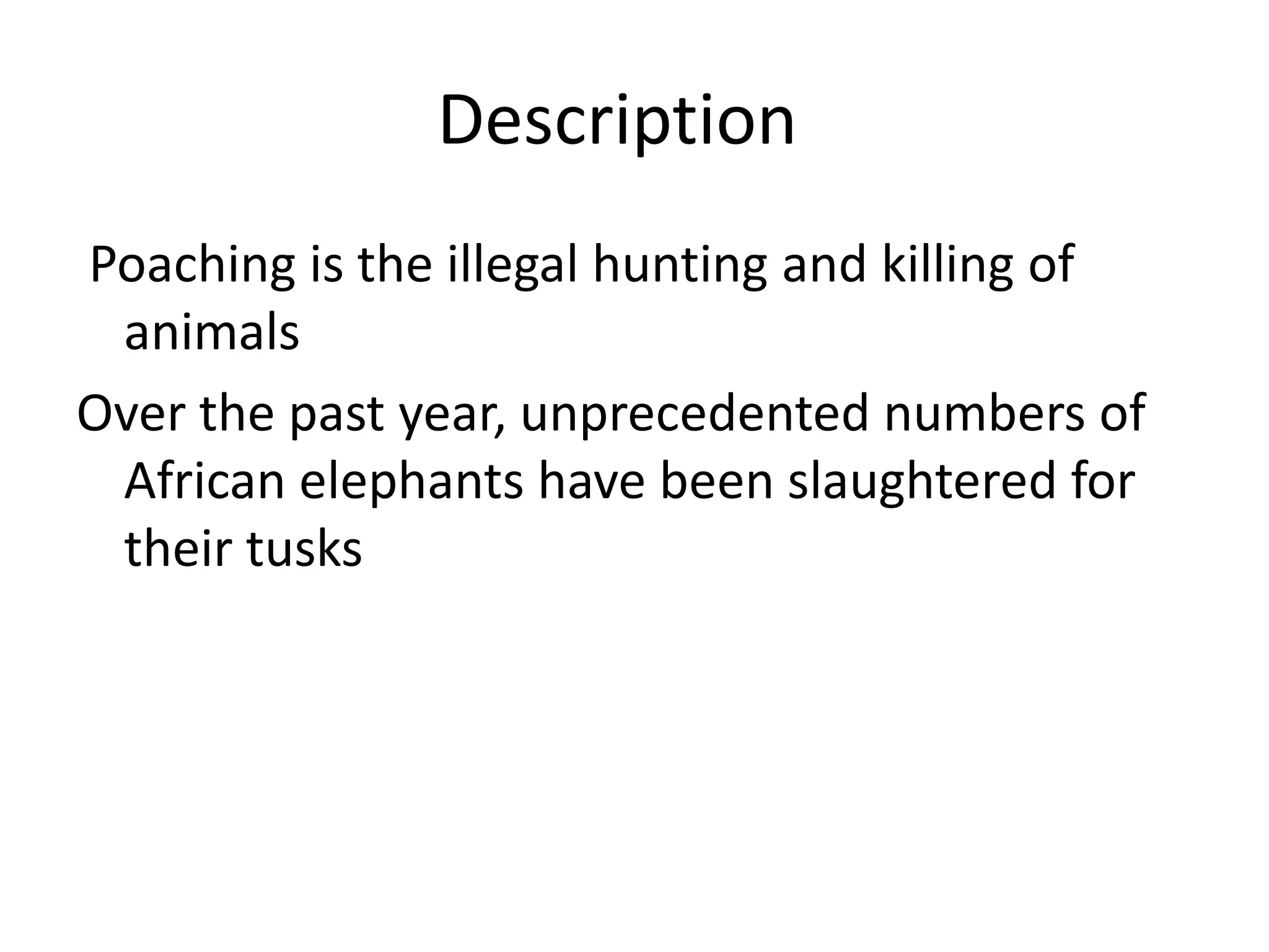 Elephant poaching power point | PPTX