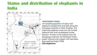 elephant population in india - strategies for conservation.pptx