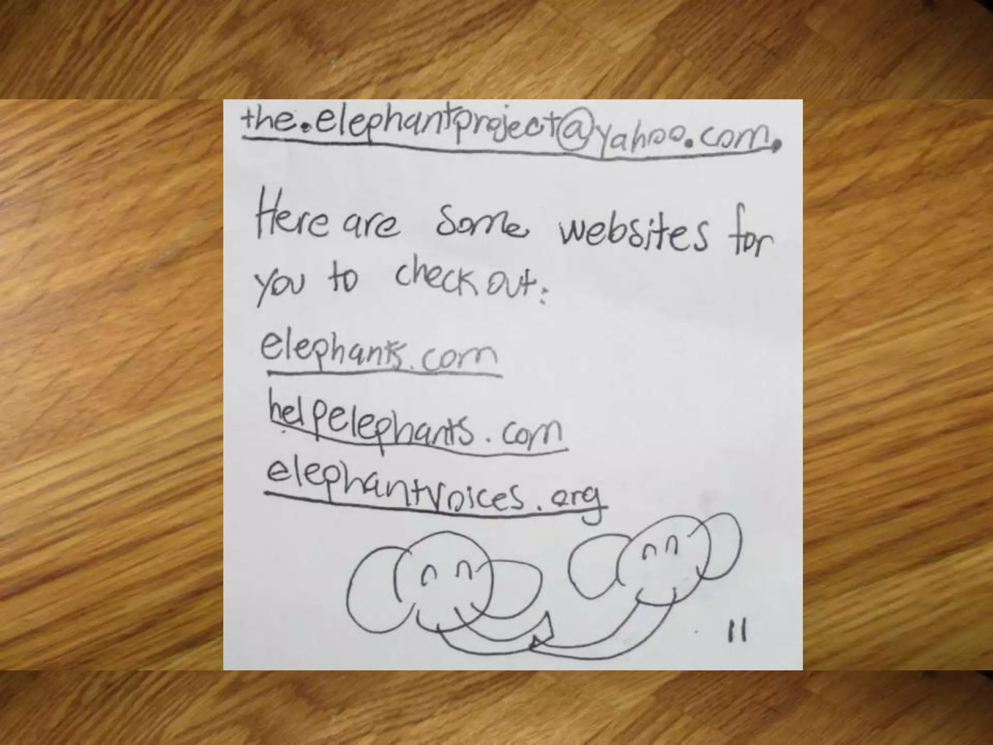 Elephant Project Book Slides | PPTX