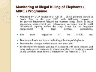 Elephant project sites | PPTX