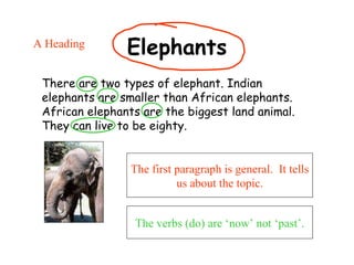 Elephant report | PPT
