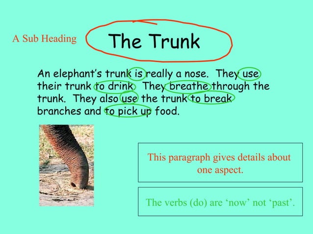 Elephant report | PPT