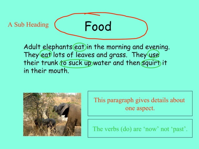Elephant report | PPT