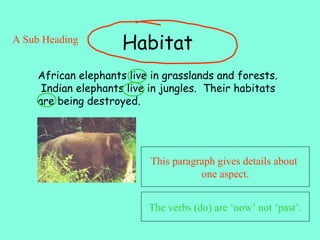 Elephant report | PPT