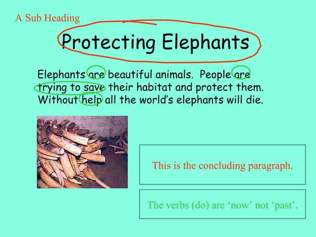 Elephant report | PPT
