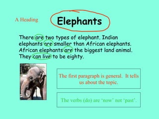 Elephant report | PPT