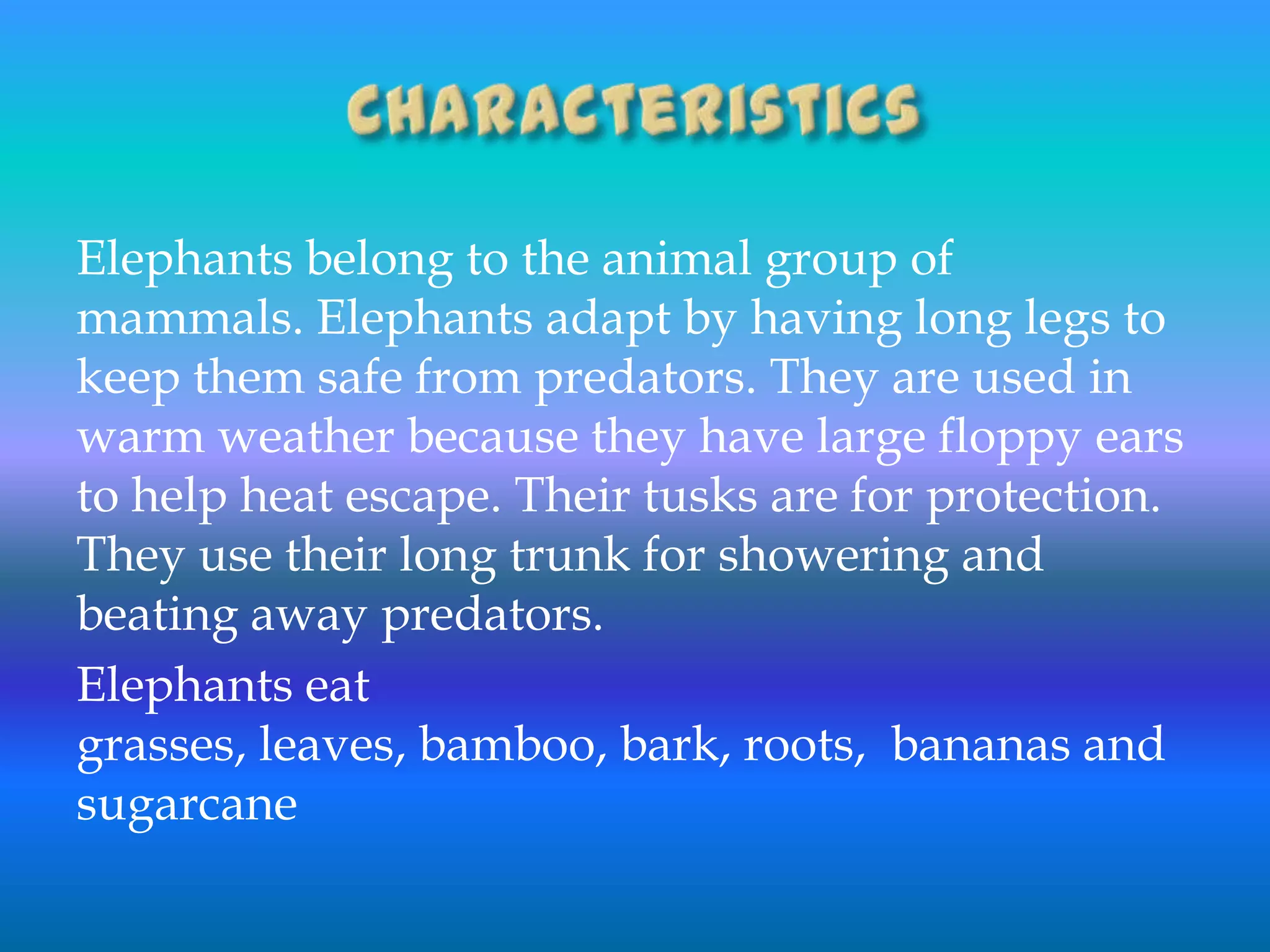 Elephants | PPTX