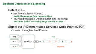 Elephants and Mice | PPT