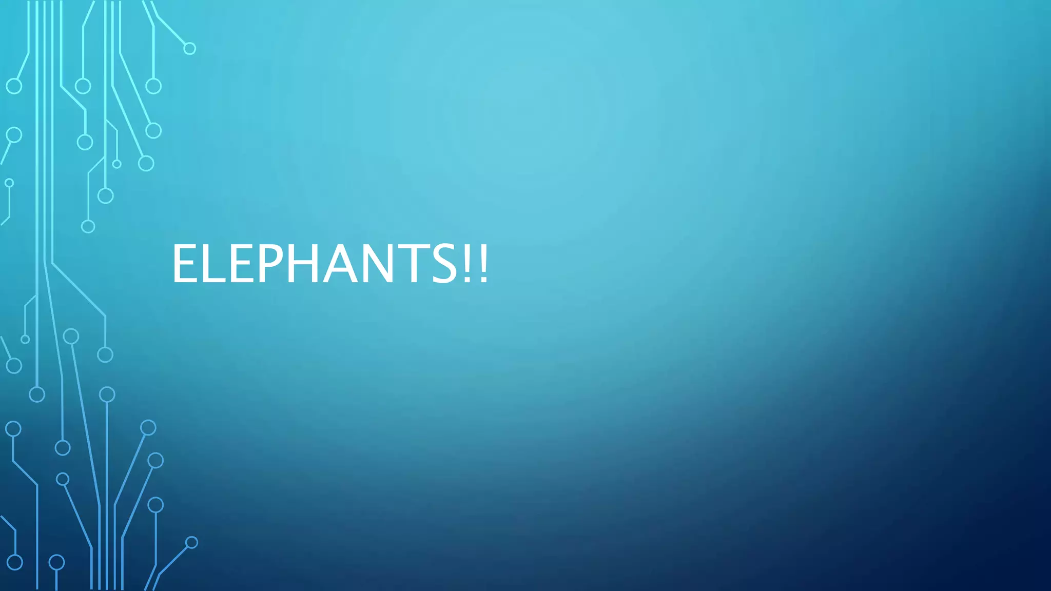 Elephants!! | PPTX