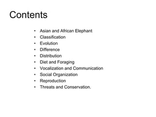 Elephants | PPT