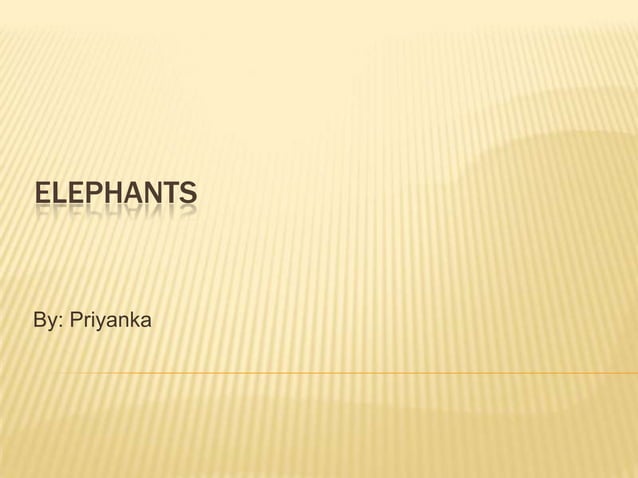 Elephants (1) | PPT