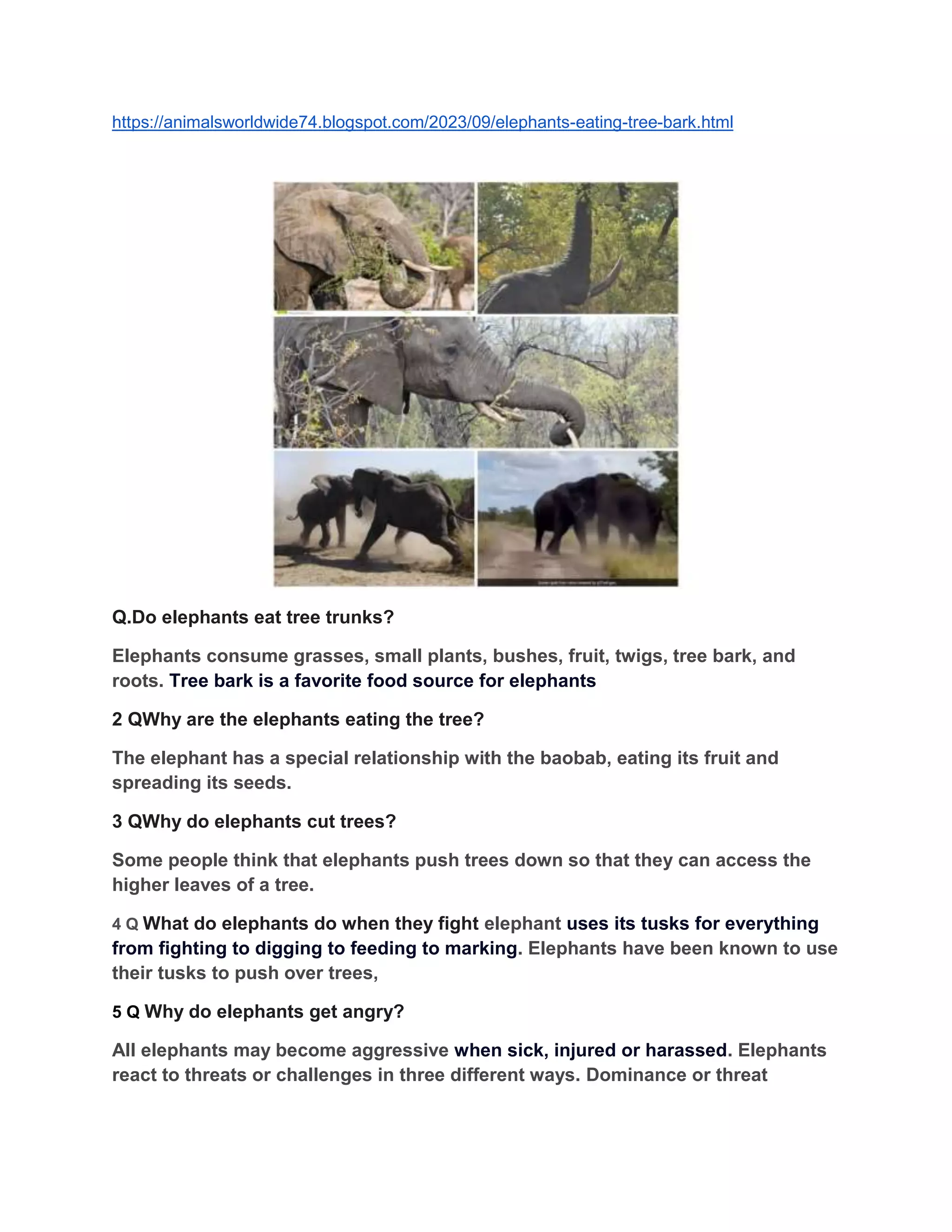 elephants eating tree bark .docx