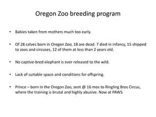 Elephants final | PPT