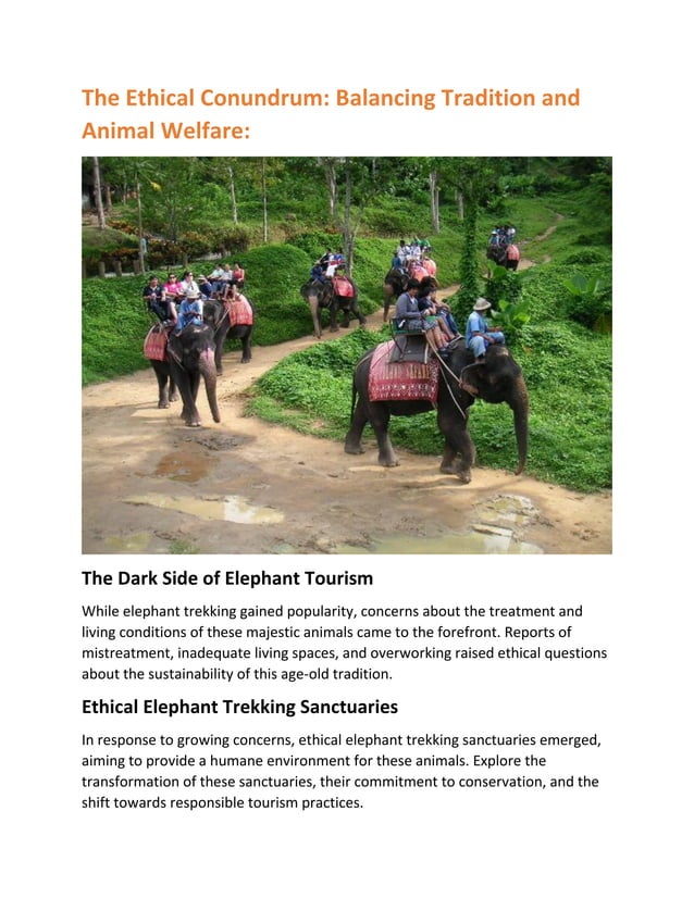 Gentle Giants, Ethical Rides: Elephant Trekking in Thailand | PDF | Travel