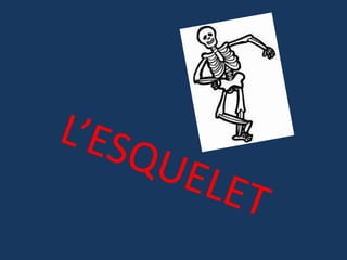 El esquelet | PPT