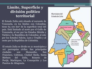 El Estado Zulia.pptx