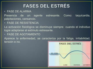 EL ESTRÉS AL VOLANTE | PPTX
