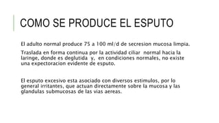 El estudio del esputo | PPTX