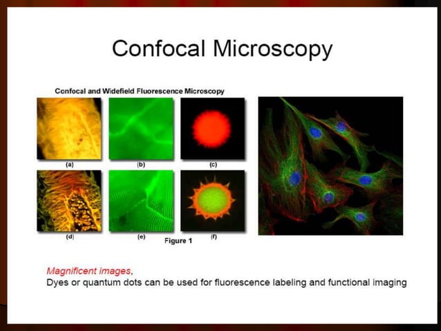 eletron microscopy.ppt | Physics | Science