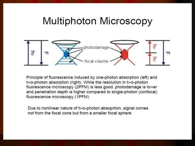 eletron microscopy.ppt | Physics | Science