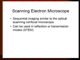eletron microscopy.ppt