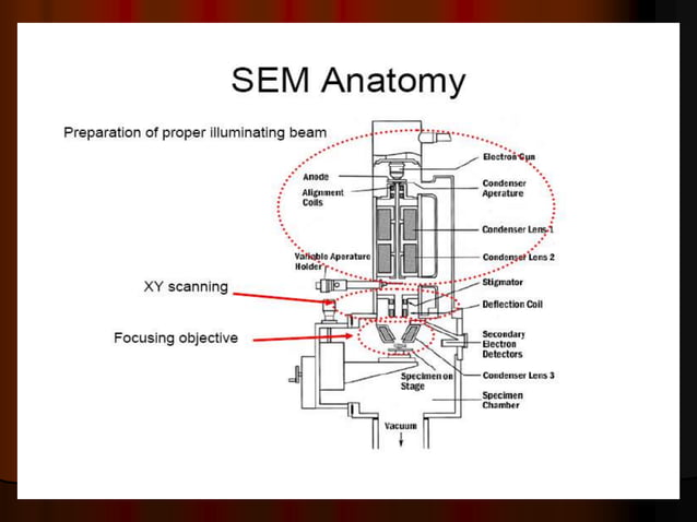 eletron microscopy.ppt | Physics | Science
