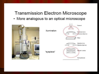 eletron microscopy.ppt