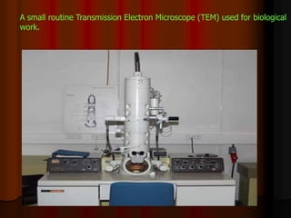 eletron microscopy.ppt