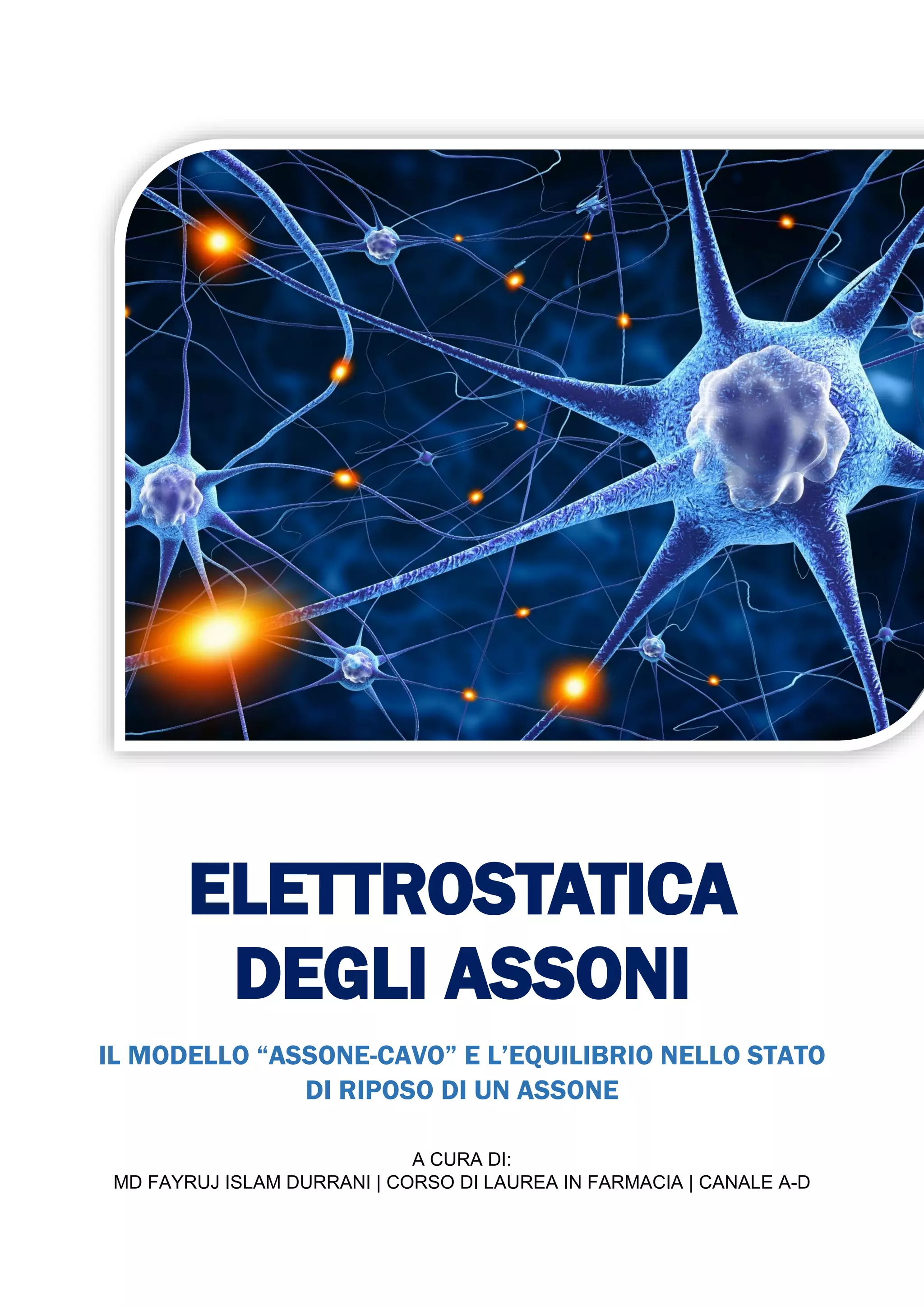 ELETTROSTATICA DEGLI ASSONI | PDF