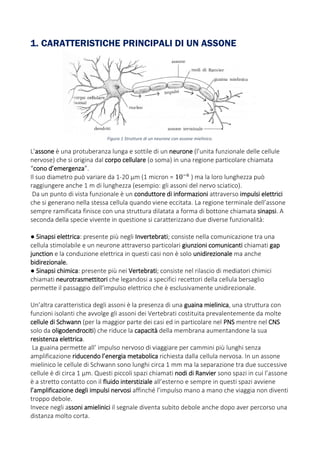 ELETTROSTATICA DEGLI ASSONI | PDF