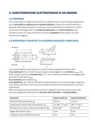 ELETTROSTATICA DEGLI ASSONI | PDF