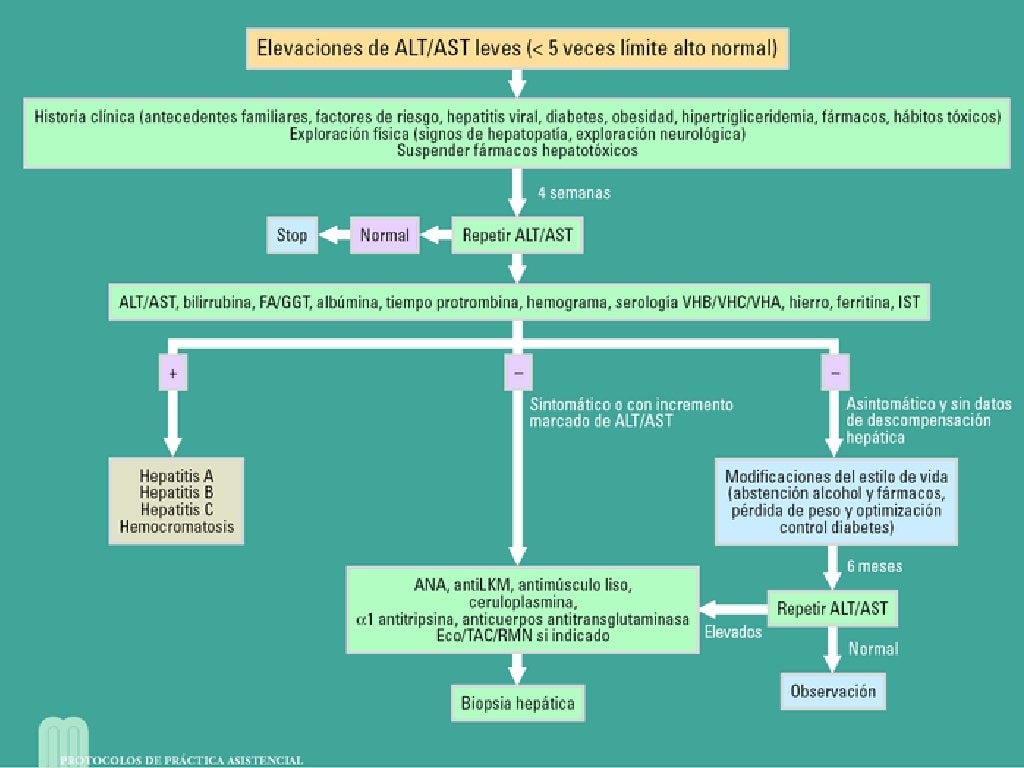 Elevación crónica de las transaminasas