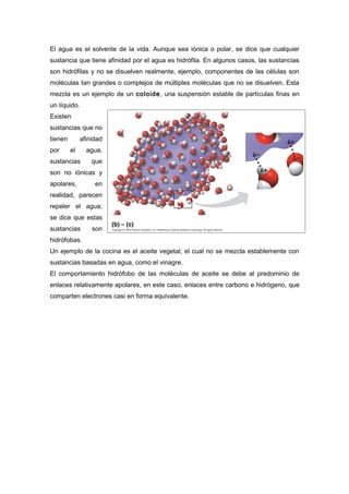 Calor Especifico Agua