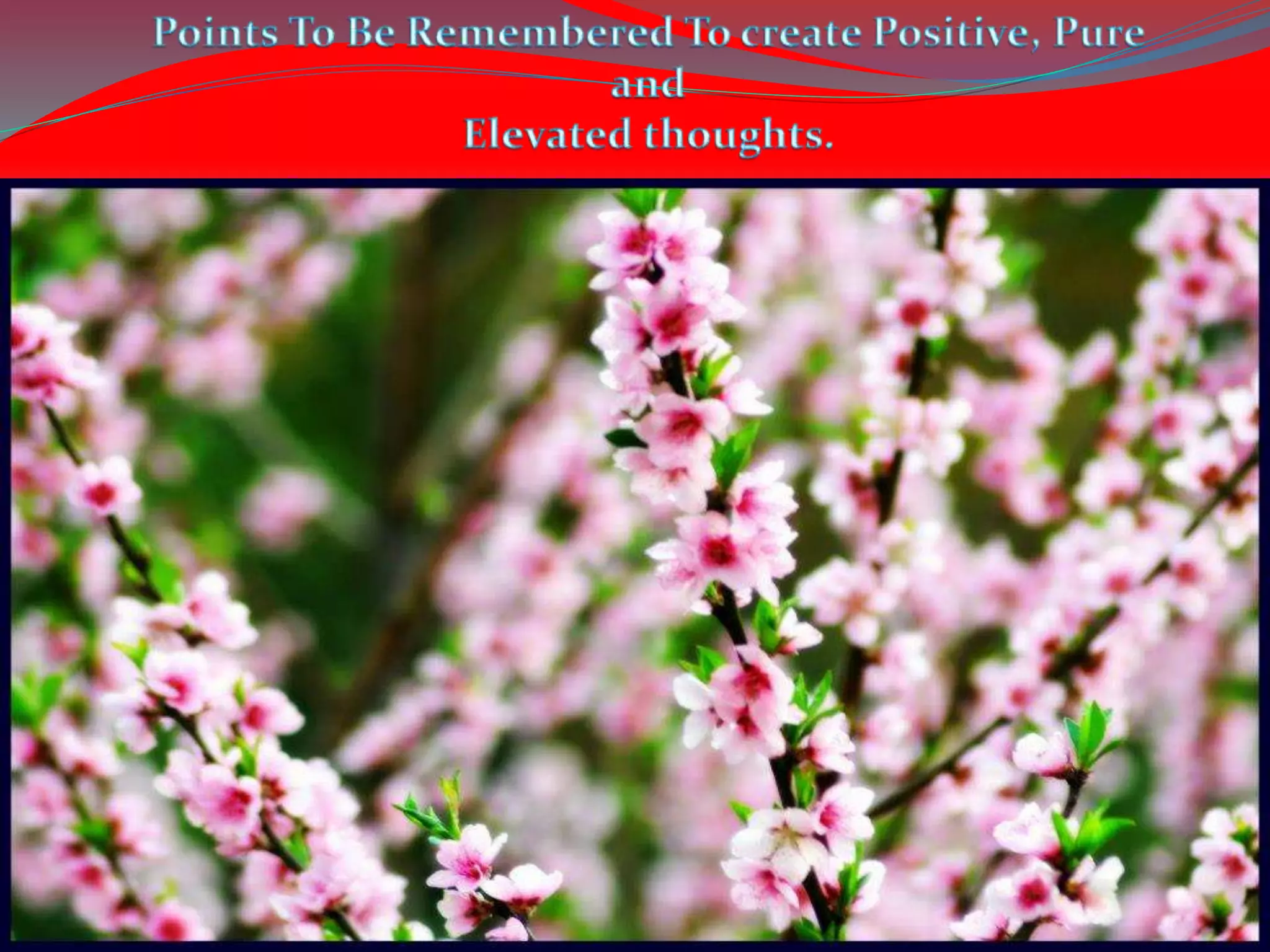 Elevated thoughts | PPTX