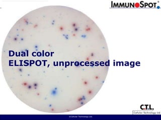 Elevating Elispot To An Exact Science | PPTX